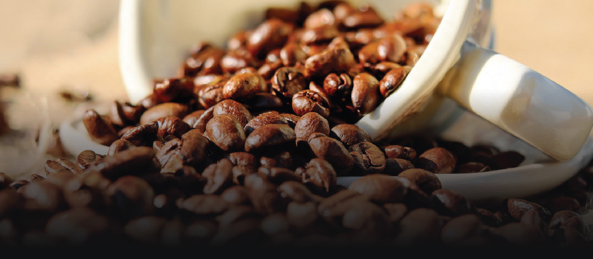 Ranger Candy Coffee Company